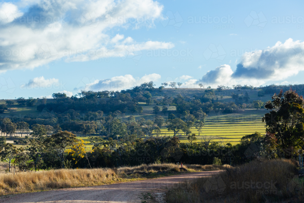 Image of trees and farmland beside gravel road in rural Australia ...