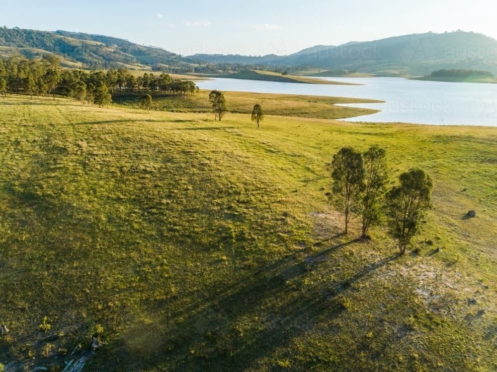 Image of trees and wide green paddock in afternoon like beside Lake St ...