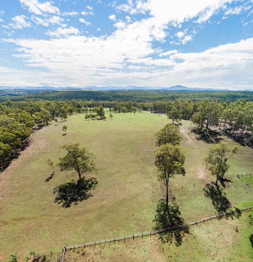 Image of Trees in mostly cleared farm paddock with forest around ...