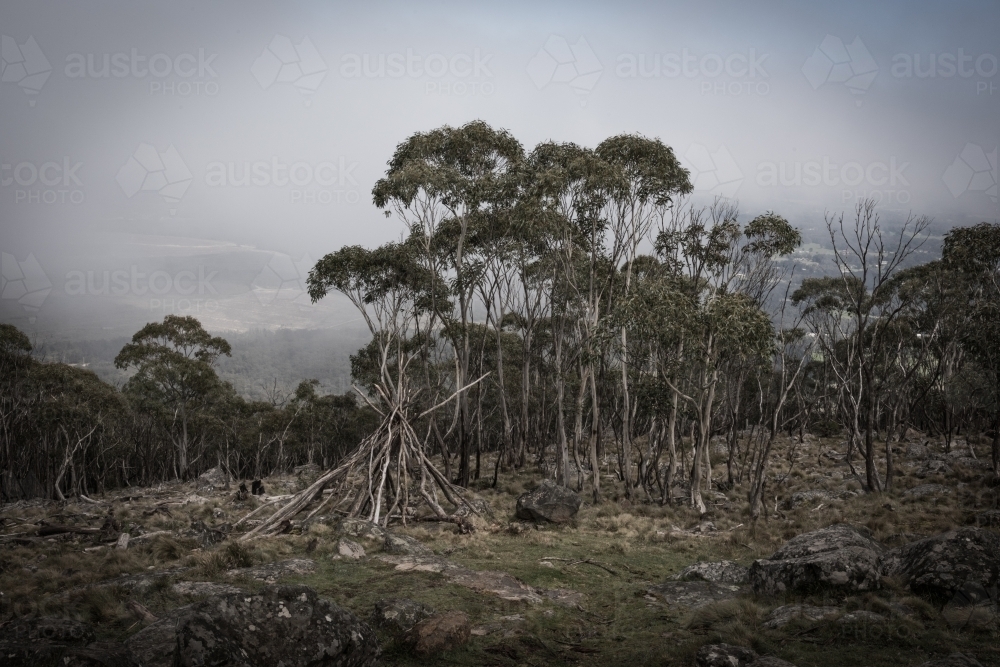 Image of twig teepee in the australian landscape - Austockphoto