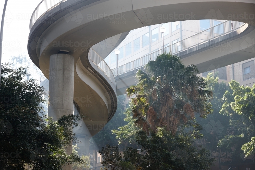 Image of Twisted ramp over trees in Sydney city - Austockphoto
