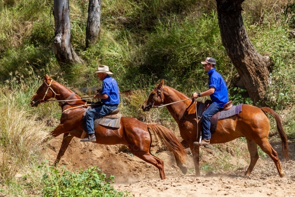 Image of Two cowboys riding their horses out of a dry creek. - Austockphoto