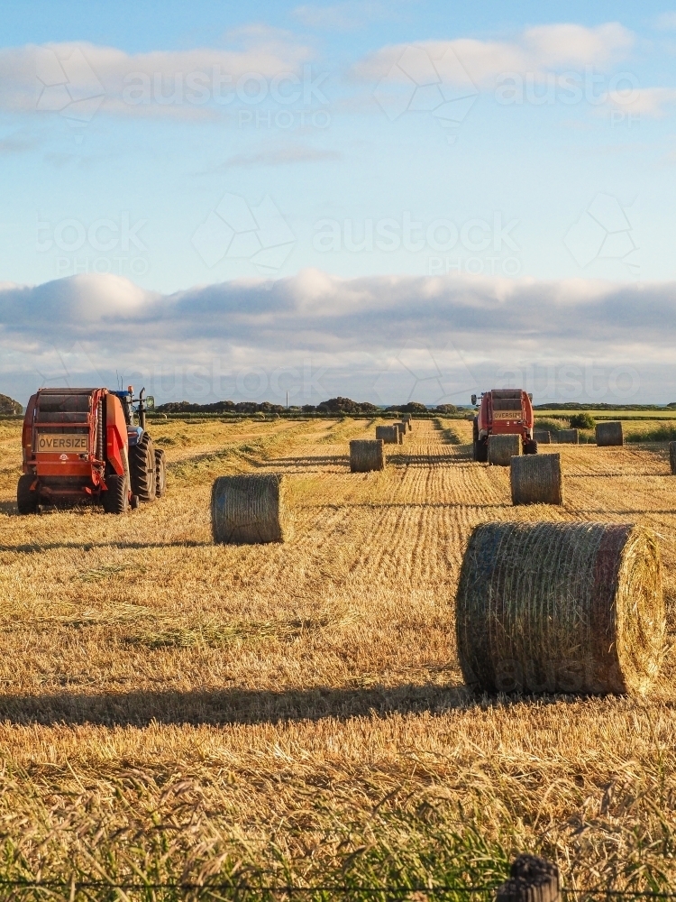 Image of Two harvesters making hale bales in the sunshine - Austockphoto