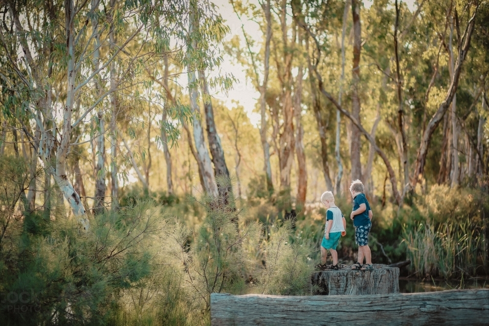 Image of Two little boys standing on tree stump beside creek in the ...