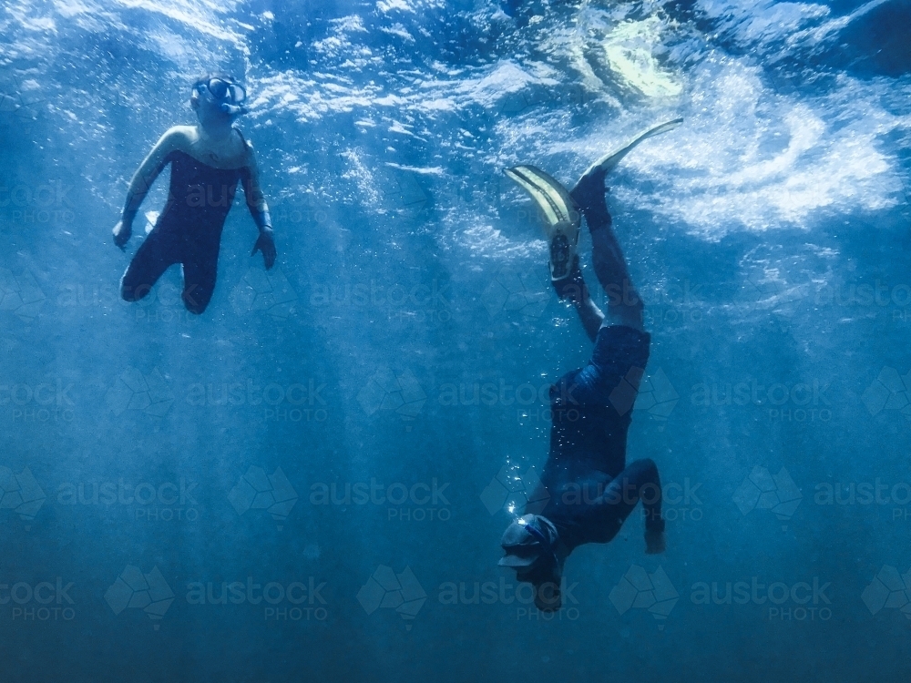 Image of Two people snorkelling over reef and diving down - Austockphoto