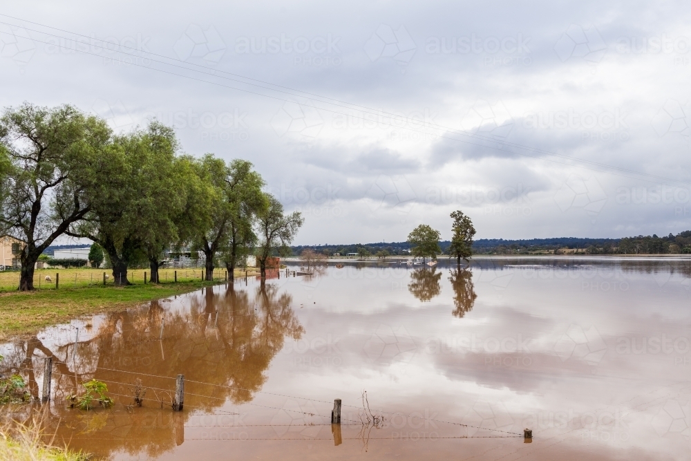 Image of Two trees in flooded farm paddock with fence underwater ...