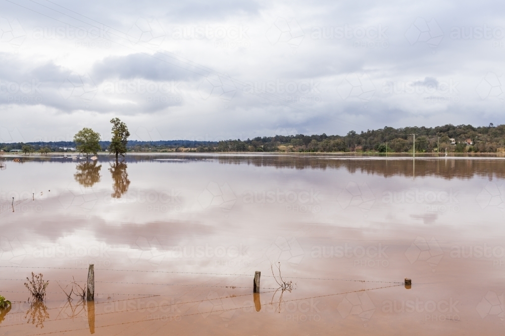 Image of Two trees in flooded farm paddock with fence underwater ...