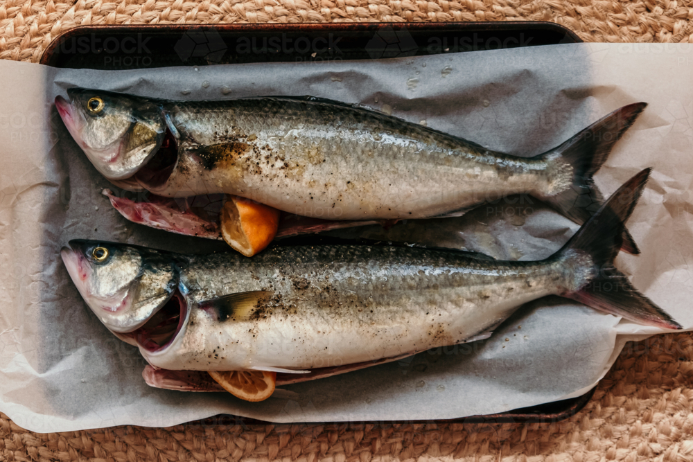 Image of Two whole fish on a tray ready to bake. - Austockphoto