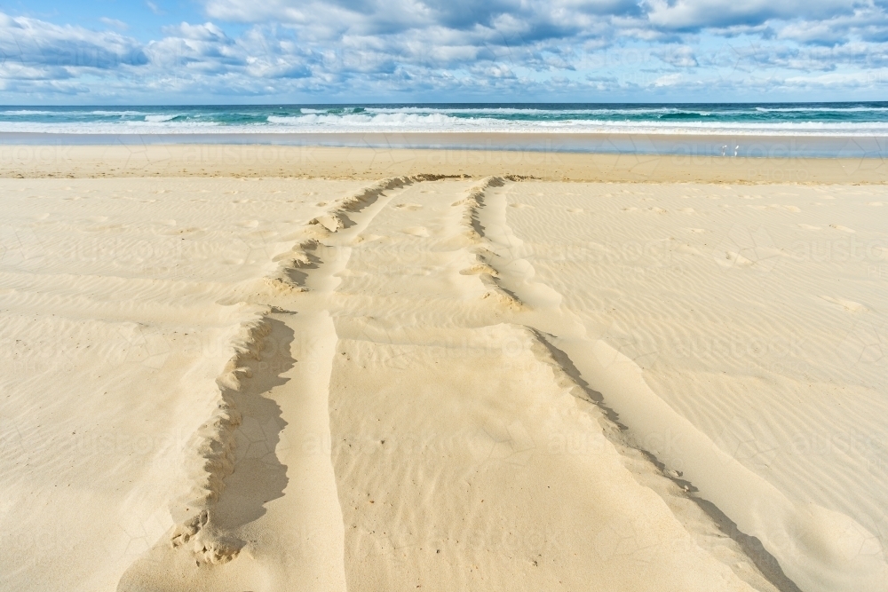 Image of Tyre tracks in the sand on a beach - Austockphoto