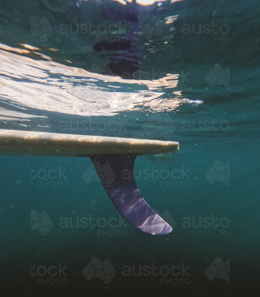 Image of Underwater closeup of Single fin on longboard surfboard in ...