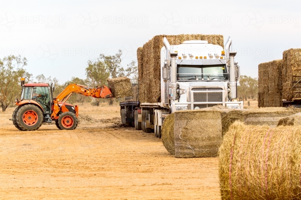 Image of Unloading large hay bales off semi-trailer. - Austockphoto