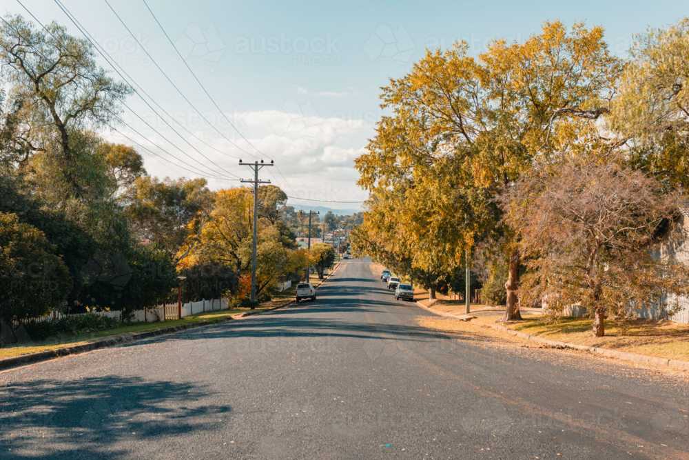 Image of Urban street in small regional town lined with deciduous trees ...