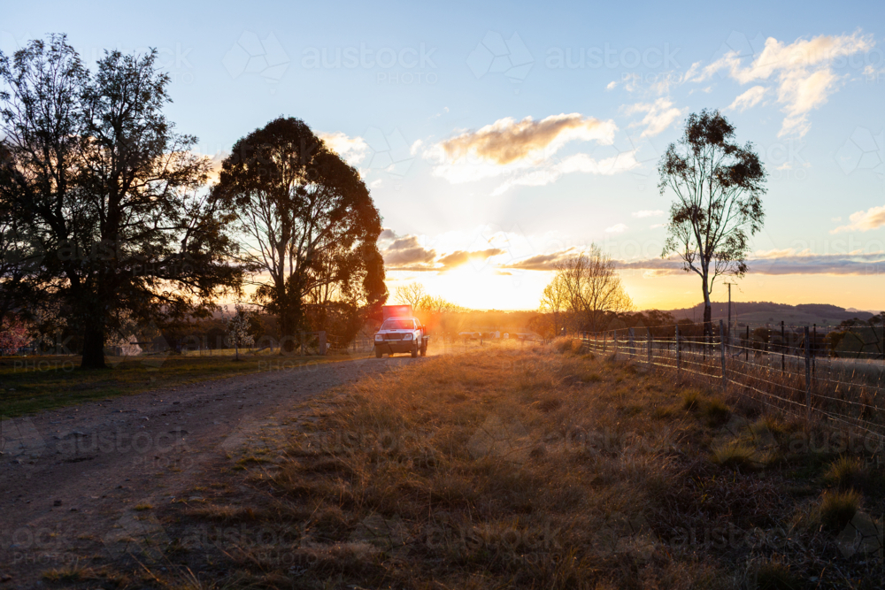 Image of ute traveling up farm gravel driveway road at sunset coming ...
