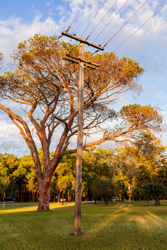 Image of utility pole and powerlines supplying electricity in rural ...