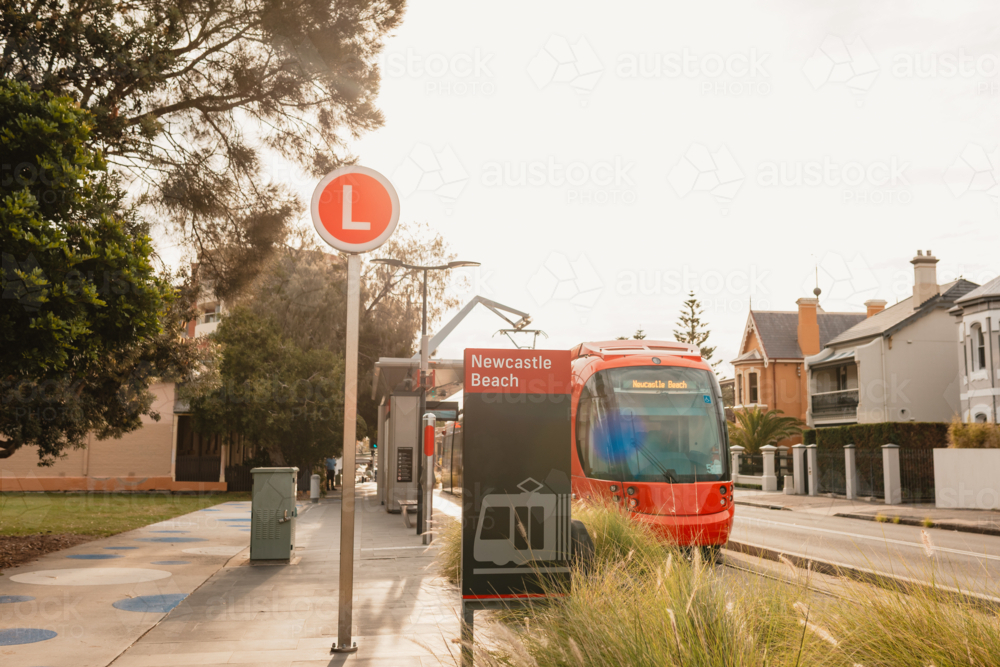 Image of Vibrant red light rail train waiting at Newcastle Beach stop ...