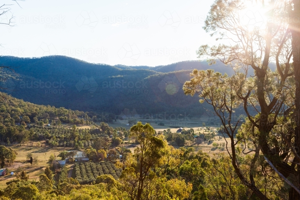 Image of View from Bulga hills over bush landscape - Austockphoto