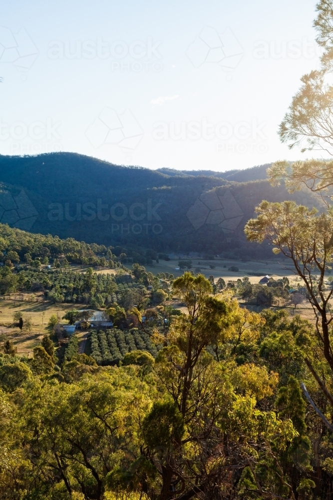 Image of View from Bulga hills over bush landscape - Austockphoto