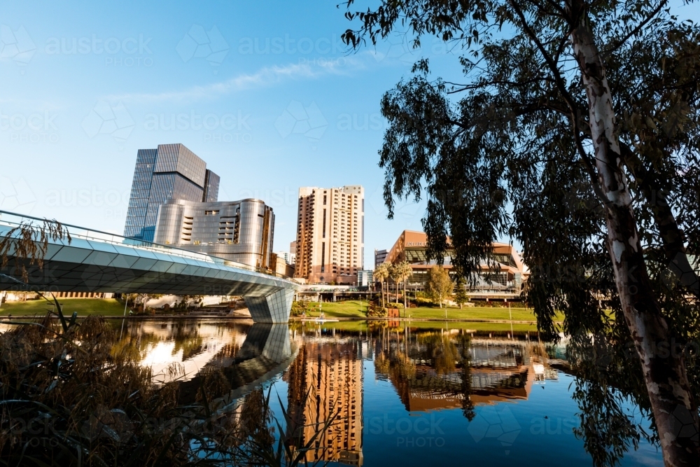 Image of View of Adelaide city across the Torrens River with buildings ...