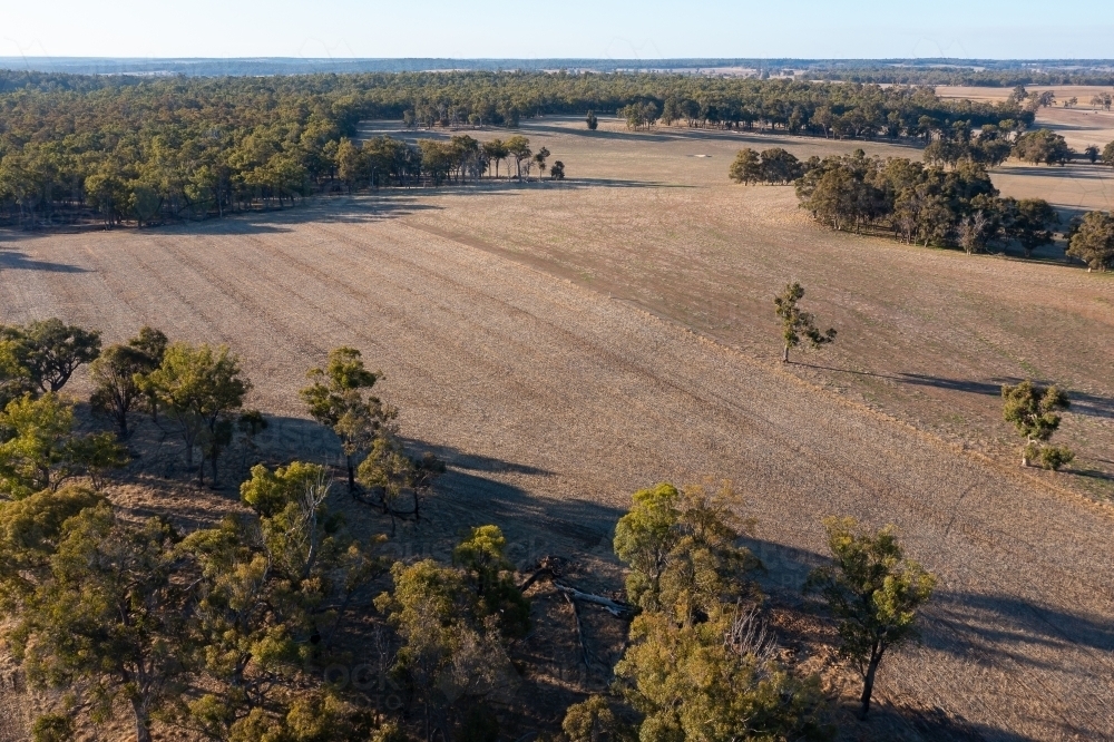 Image of View over agricultural landscape with dry paddocks and gum ...