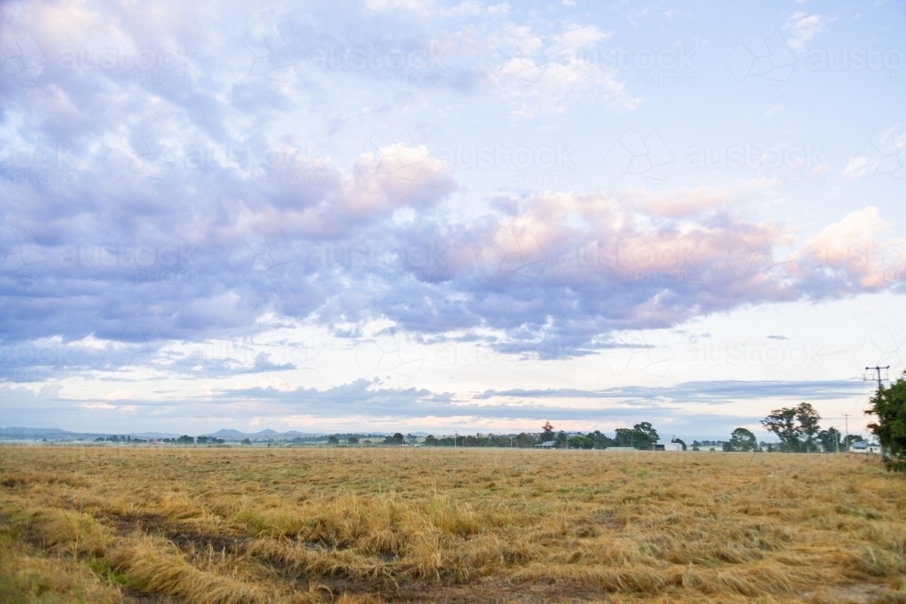 Image of view over farm paddock at dawn with clouded sky - Austockphoto