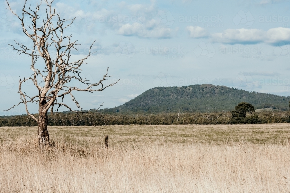 Image of View to Mount Napier. - Austockphoto