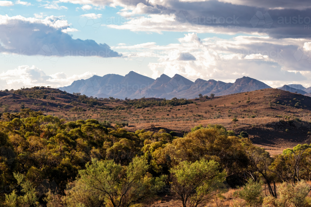 Image of View towards mountain ranges in Flinders Ranges, South ...
