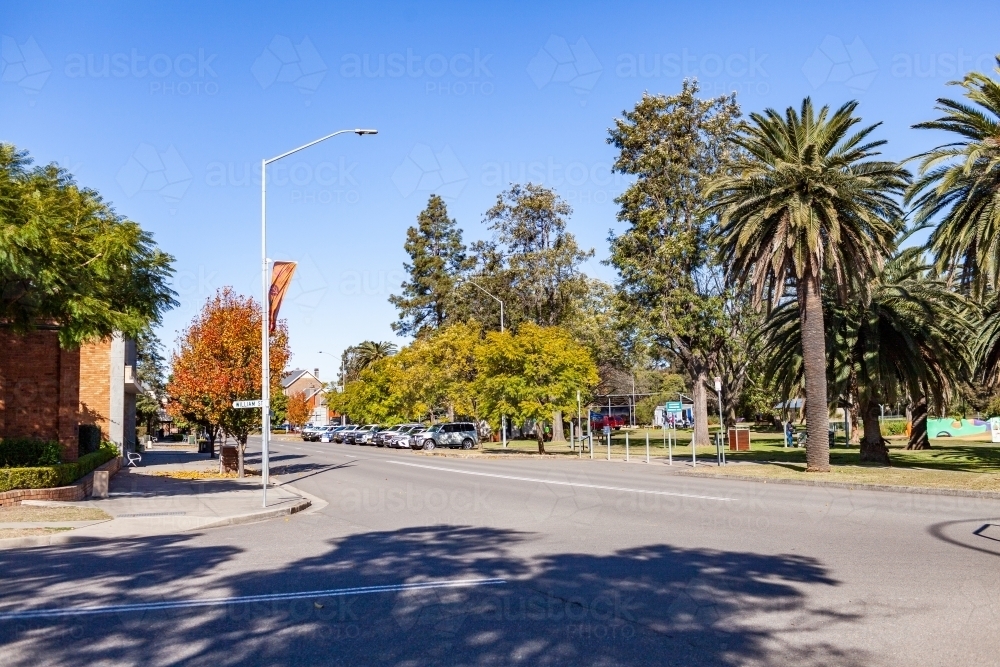 Image of View towards Simpson Park in small town of Muswellbrook in ...