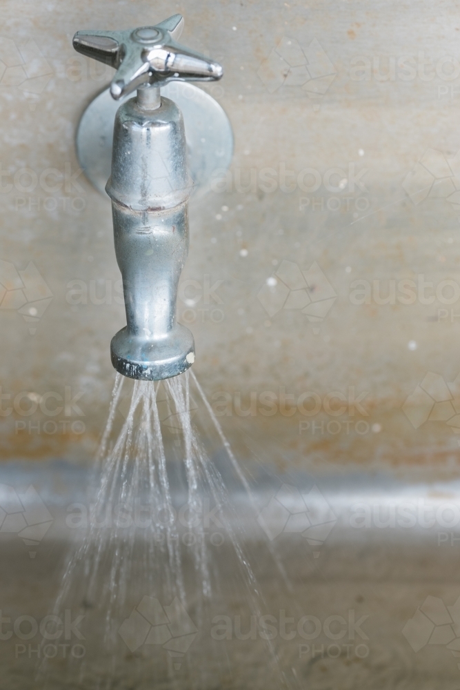 Tap forms license policy - shinefas