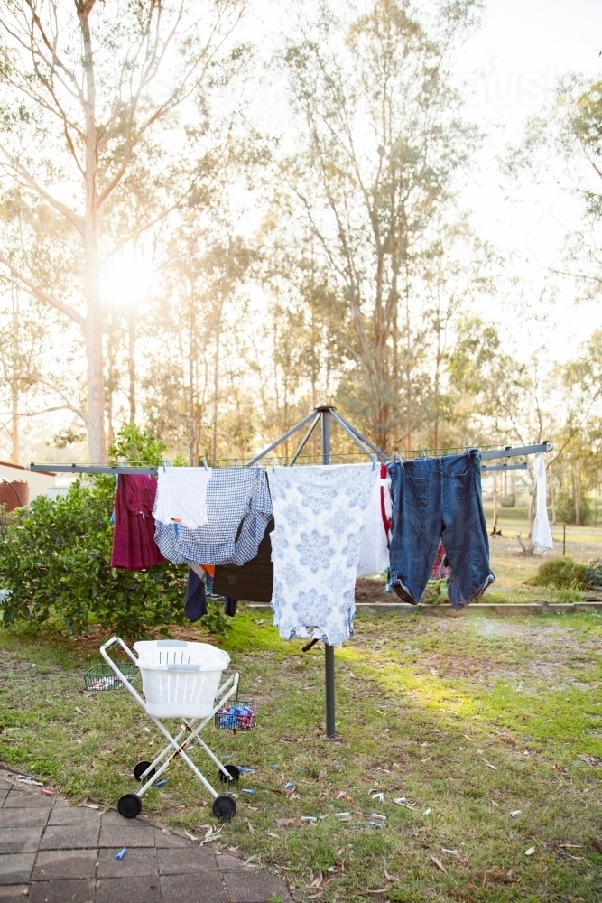 Image of Washing line and basket in a Aussie backyard - Austockphoto