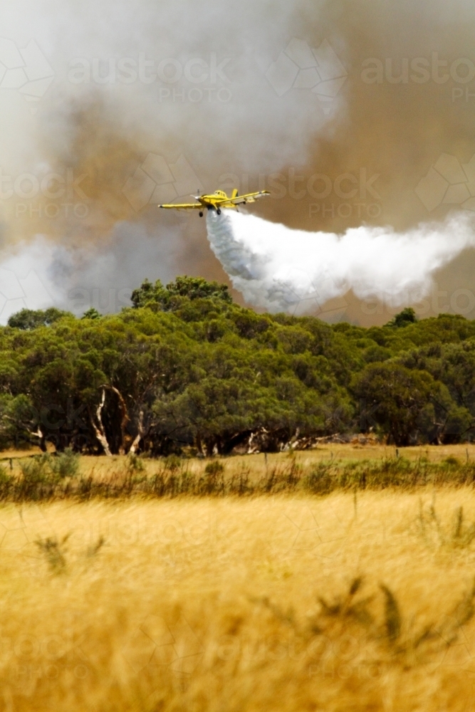 Image of Water-bombing plane fighting a bushfire. - Austockphoto