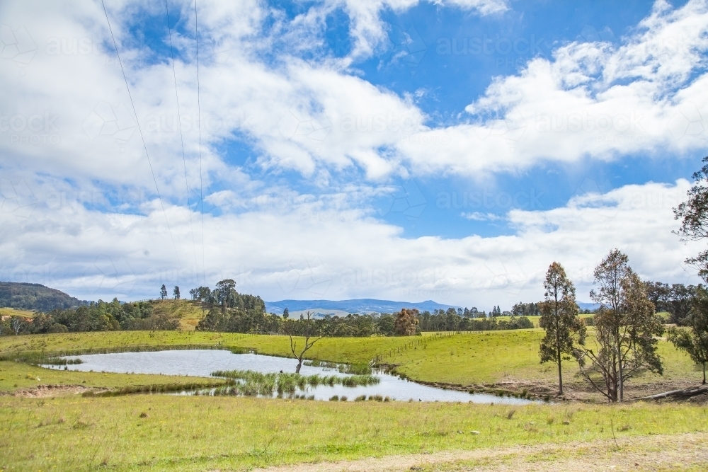 Image of Water filled dam in a green rural paddock - Austockphoto