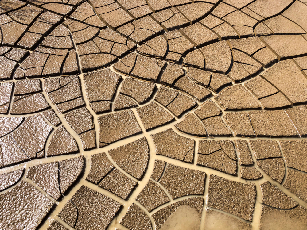 Image of Water returning to desiccated cracked dried out clay earth ...