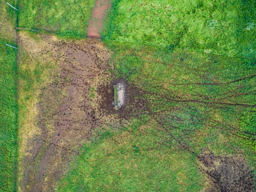 Image of Water trough in paddock with cattle tracks leading away ...