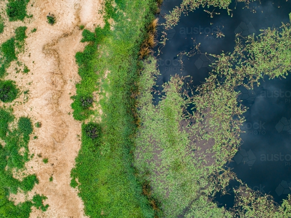 Image of Watercourse and dam with green water weed and grass growing ...