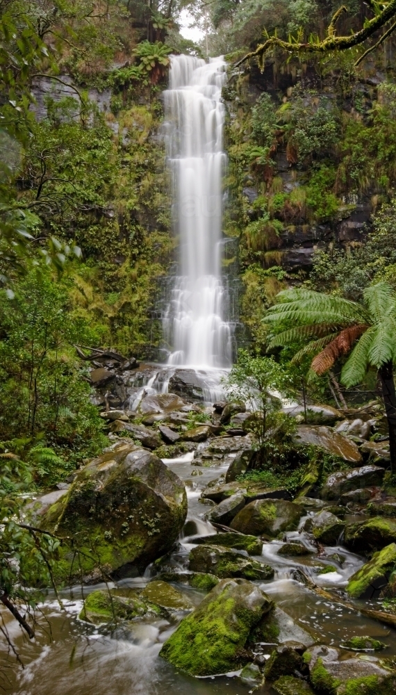 Image of Waterfall in temperate rainforest - Austockphoto