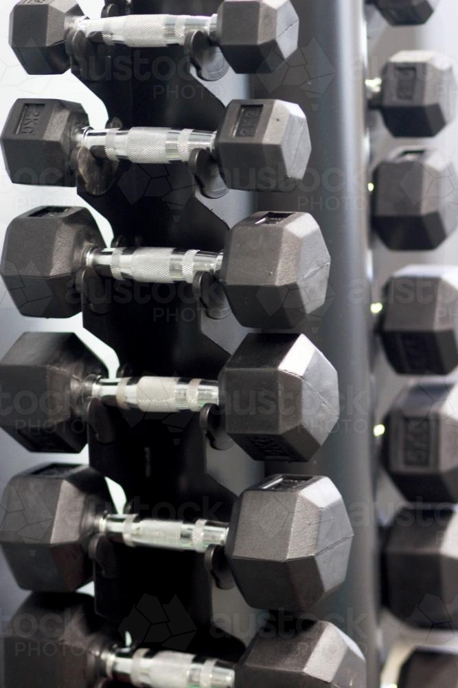 Image of Weights sitting on a rack - Austockphoto