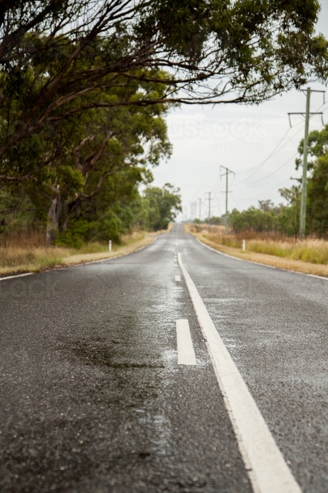 Image of Wet country road on overcast day - Austockphoto