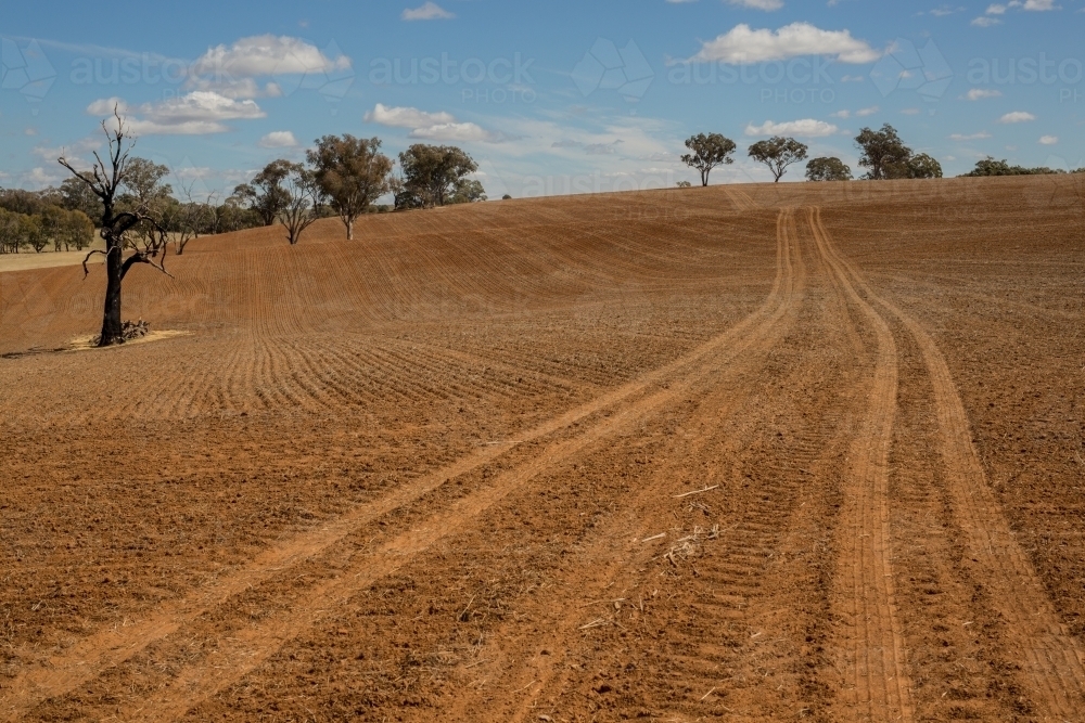 Image of Wheel tracks across a ploughed paddock - Austockphoto