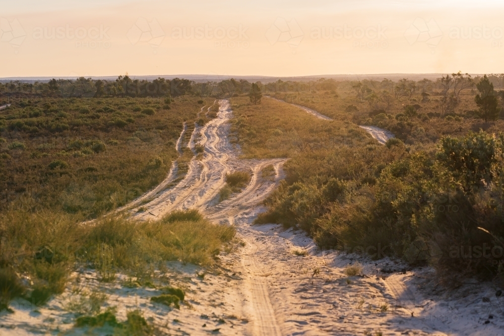 Image of Wheel tracks running through a sandy rural desert at sunset ...