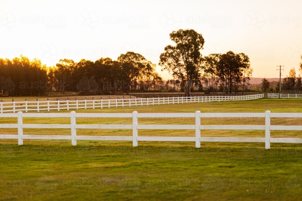 Image of White post and rail plastic fencing in paddock of mown grass ...