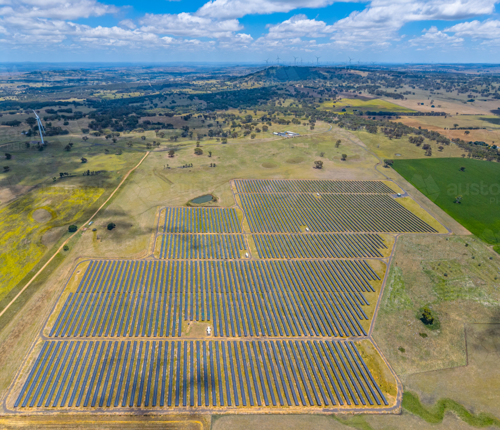 Image of White Rock Solar Farm with the Wind Farm in the background ...