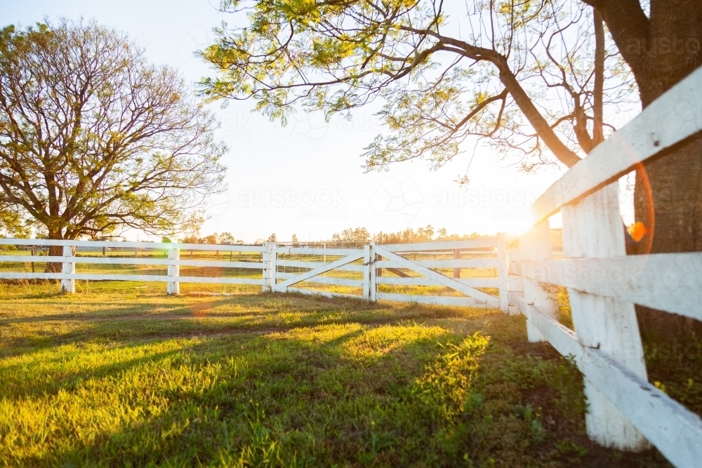 Image of White wooden post and rail fence and gate backlit with sun ...