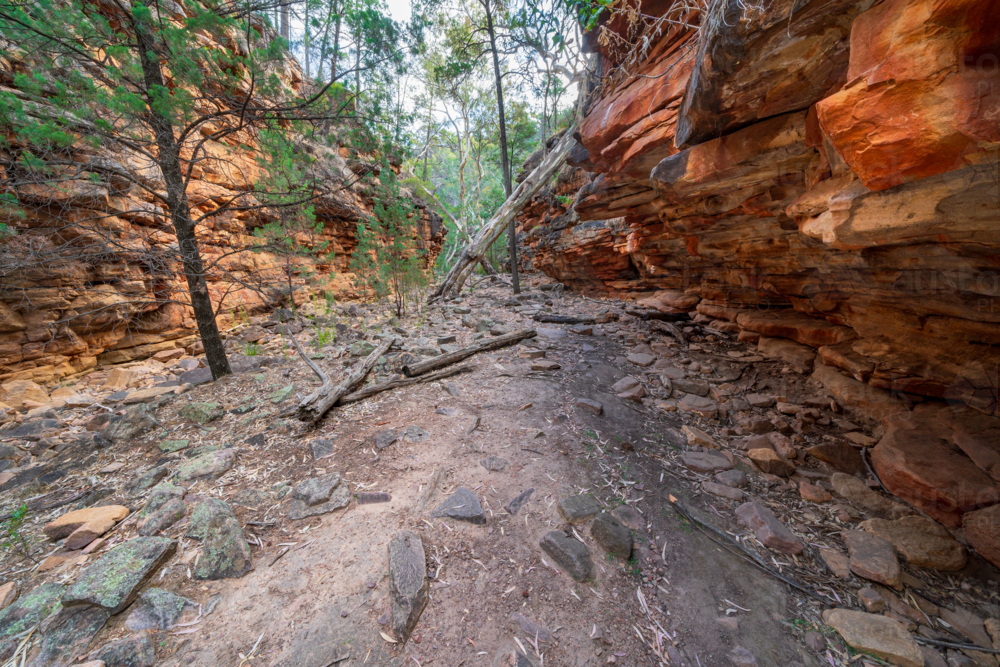 Image of Wide angled view of a path leading through the opening at the ...