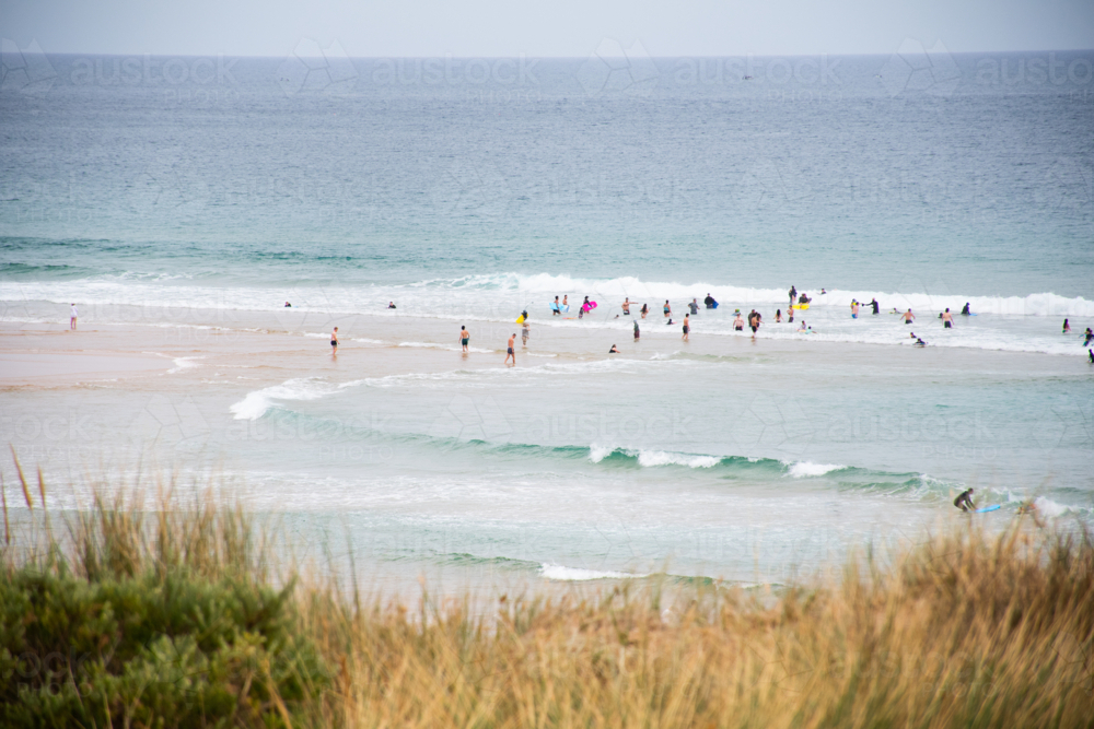 Image of Wide shot of swimmers at ocean beach with grass in foreground ...