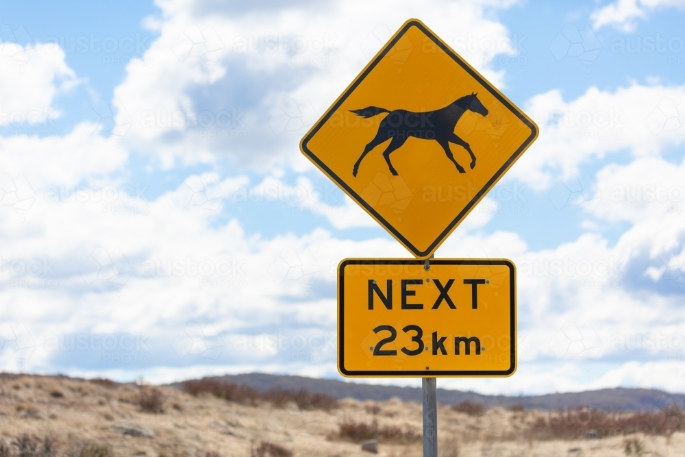 Image of Wild (feral) Snowy Mountains brumby sign against a cloudy sky ...