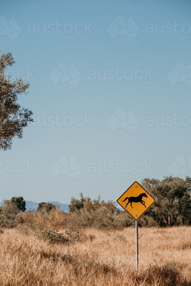 Image of Wild horses sign - Austockphoto