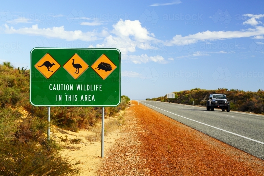 Image of Wildlife warning signs along a highway - Austockphoto