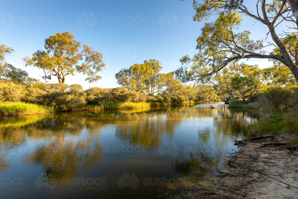 Image of Wimmera River Dimboola - Austockphoto