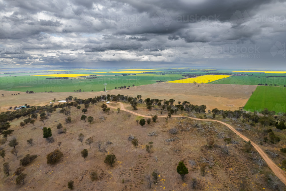 Image of Winding dirt road in sparsely vegetated land - Austockphoto