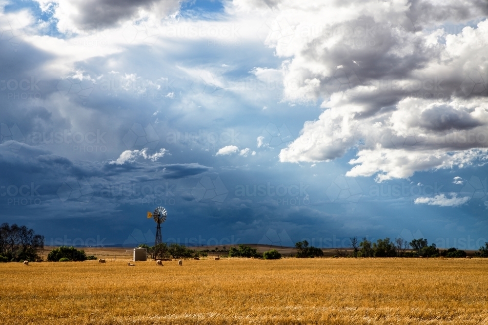 Image of windmill in front of storm clouds - Austockphoto